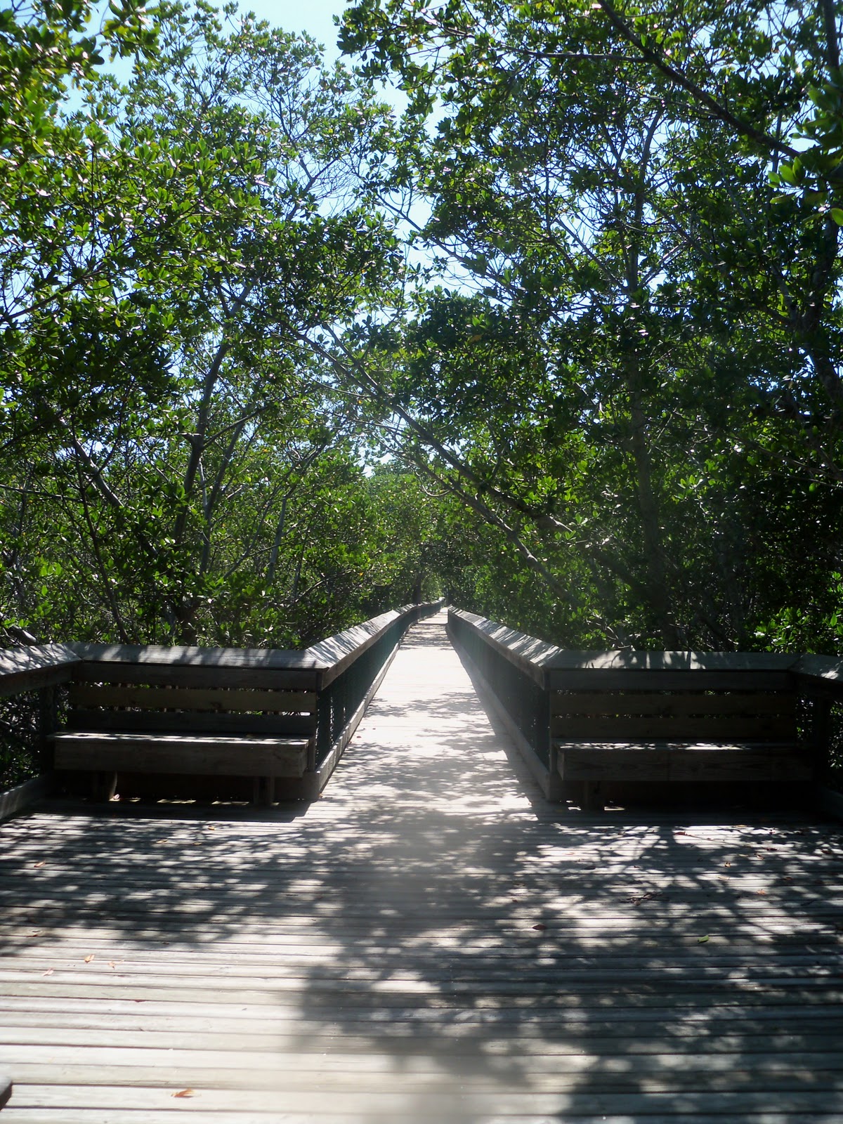Trail and Park Reviews: Road Trip; Long Key State Park, Florida Keys