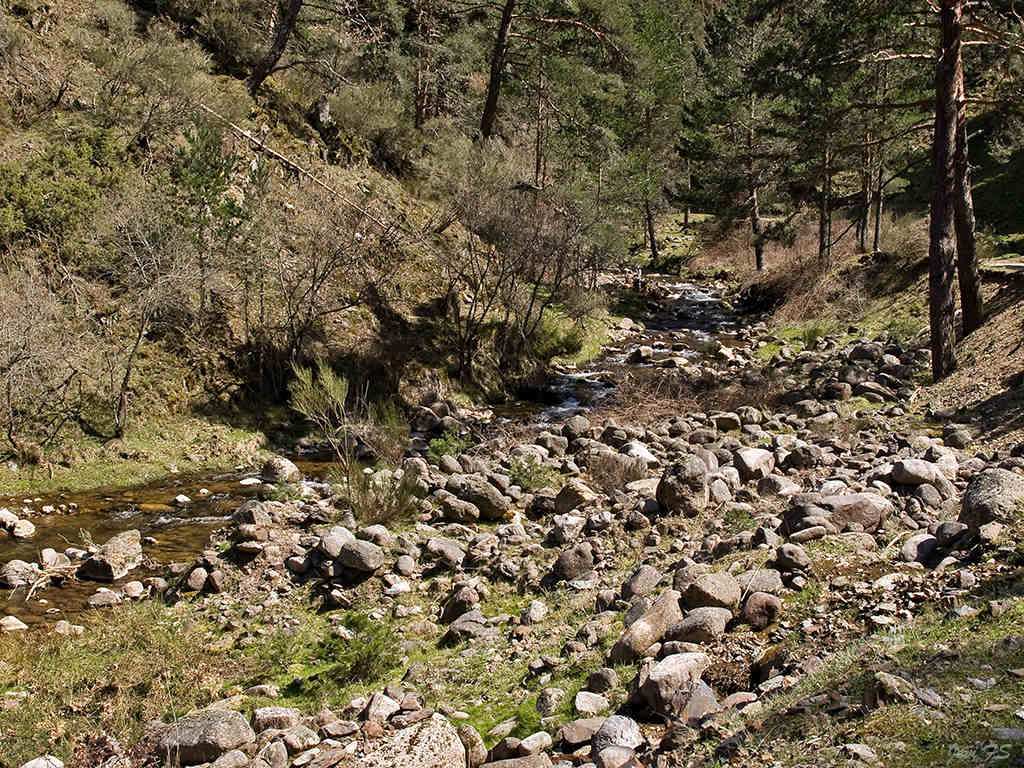 MIS VISTAS DEL MUNDO: Rio Frio (II)