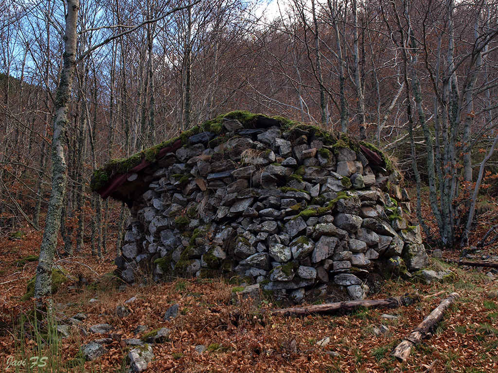 MIS VISTAS DEL MUNDO: Choza