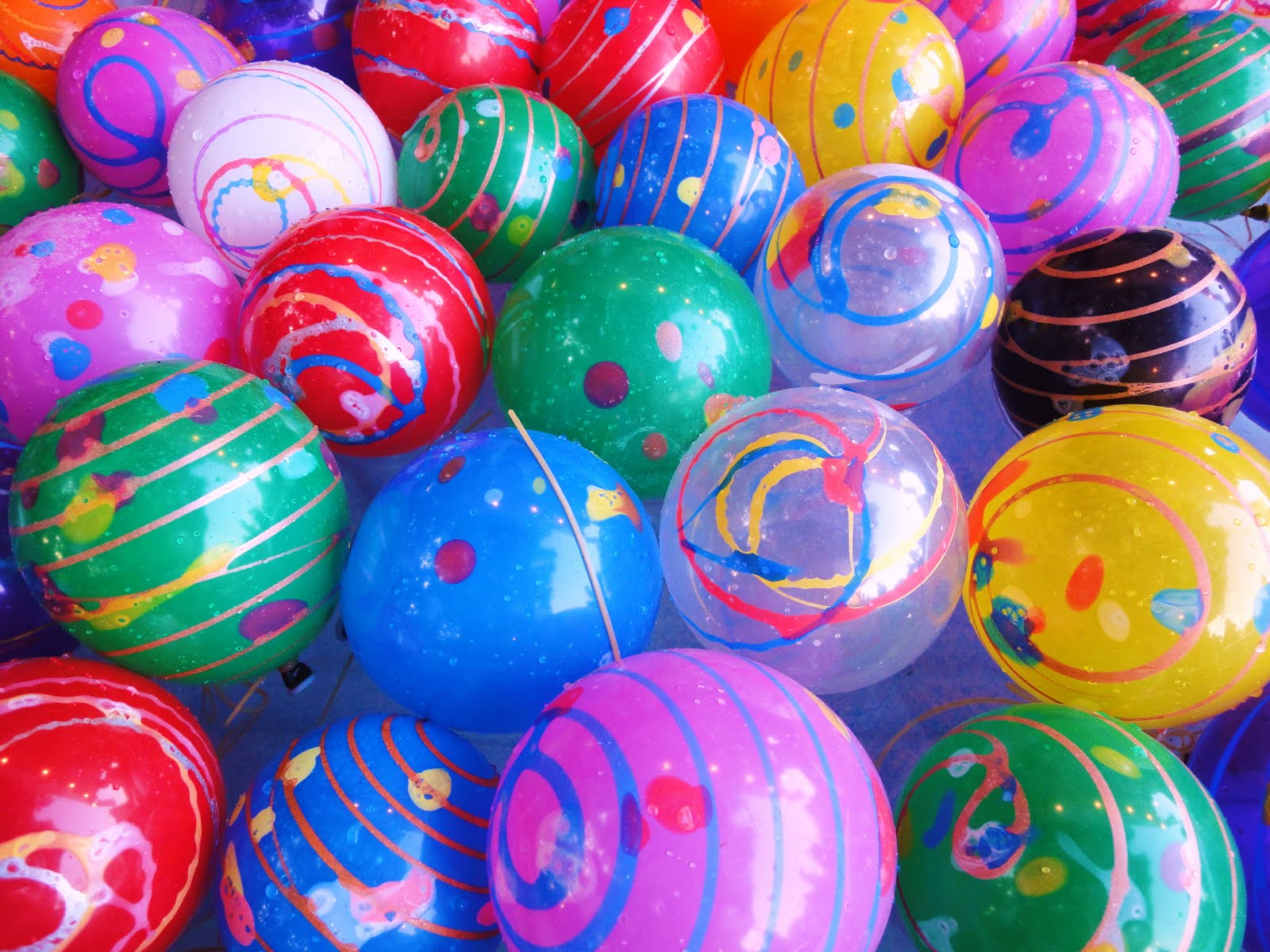 Tokorozawa Daily Photo: Bright Splash of Color