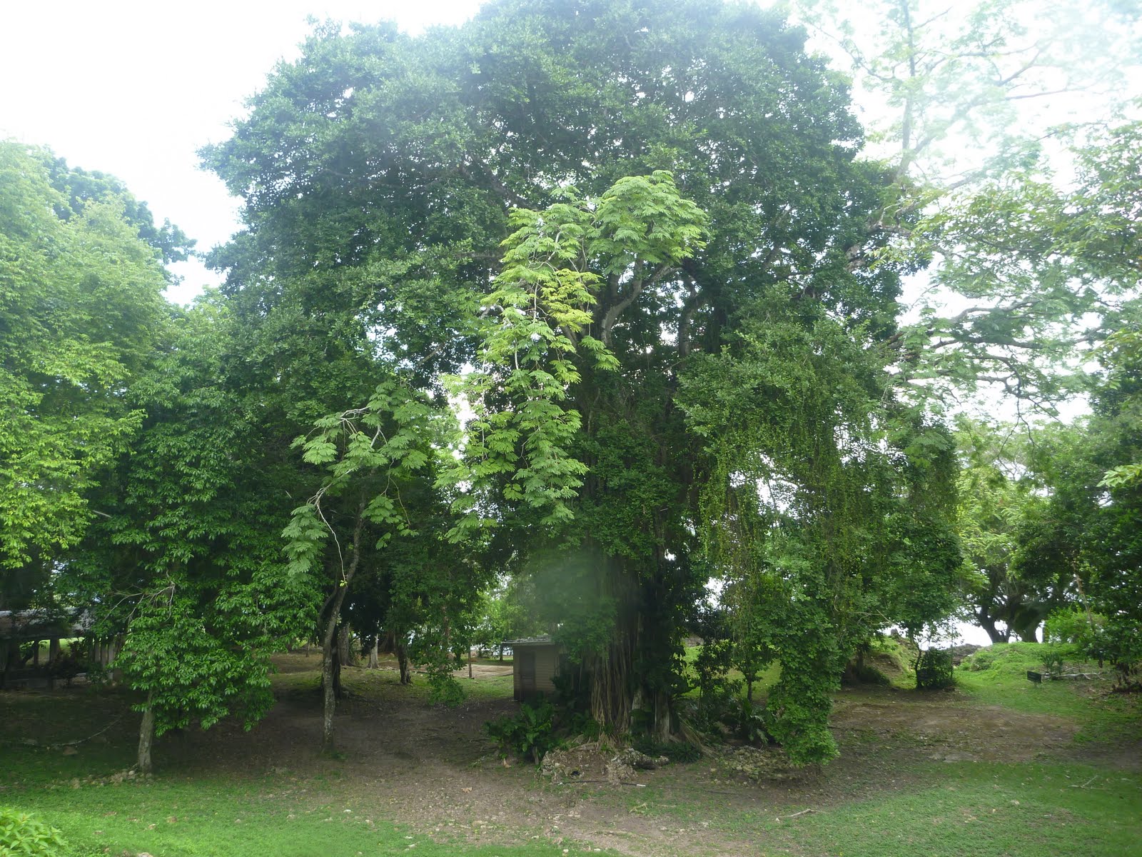 circumHikation-02-Belize: Monday, September 13, 2010 – Day 06