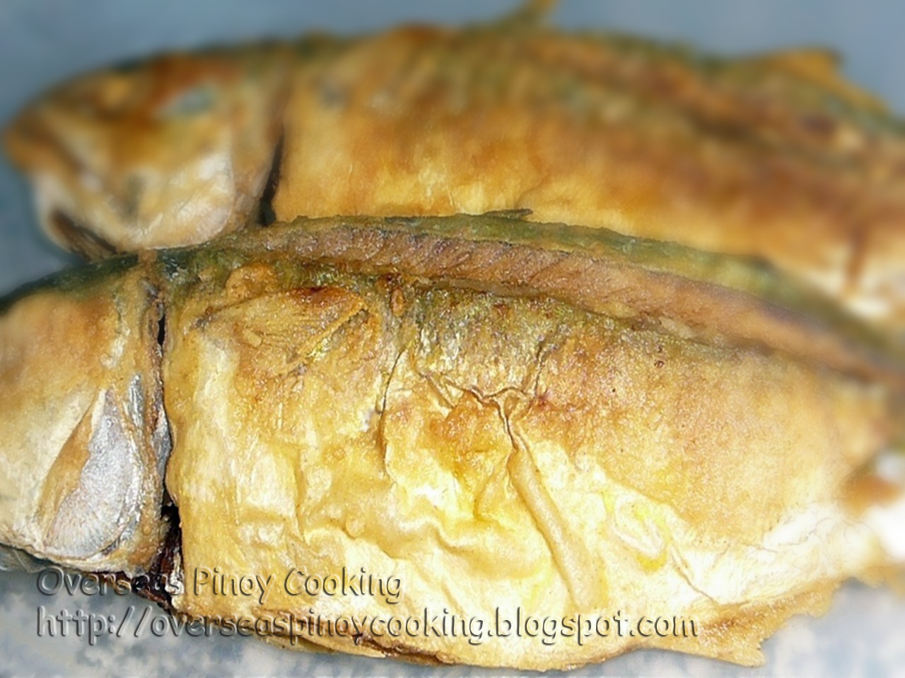 Pinoy Home Cooking and Recipes: Fried Fish, Pritong Alumahan