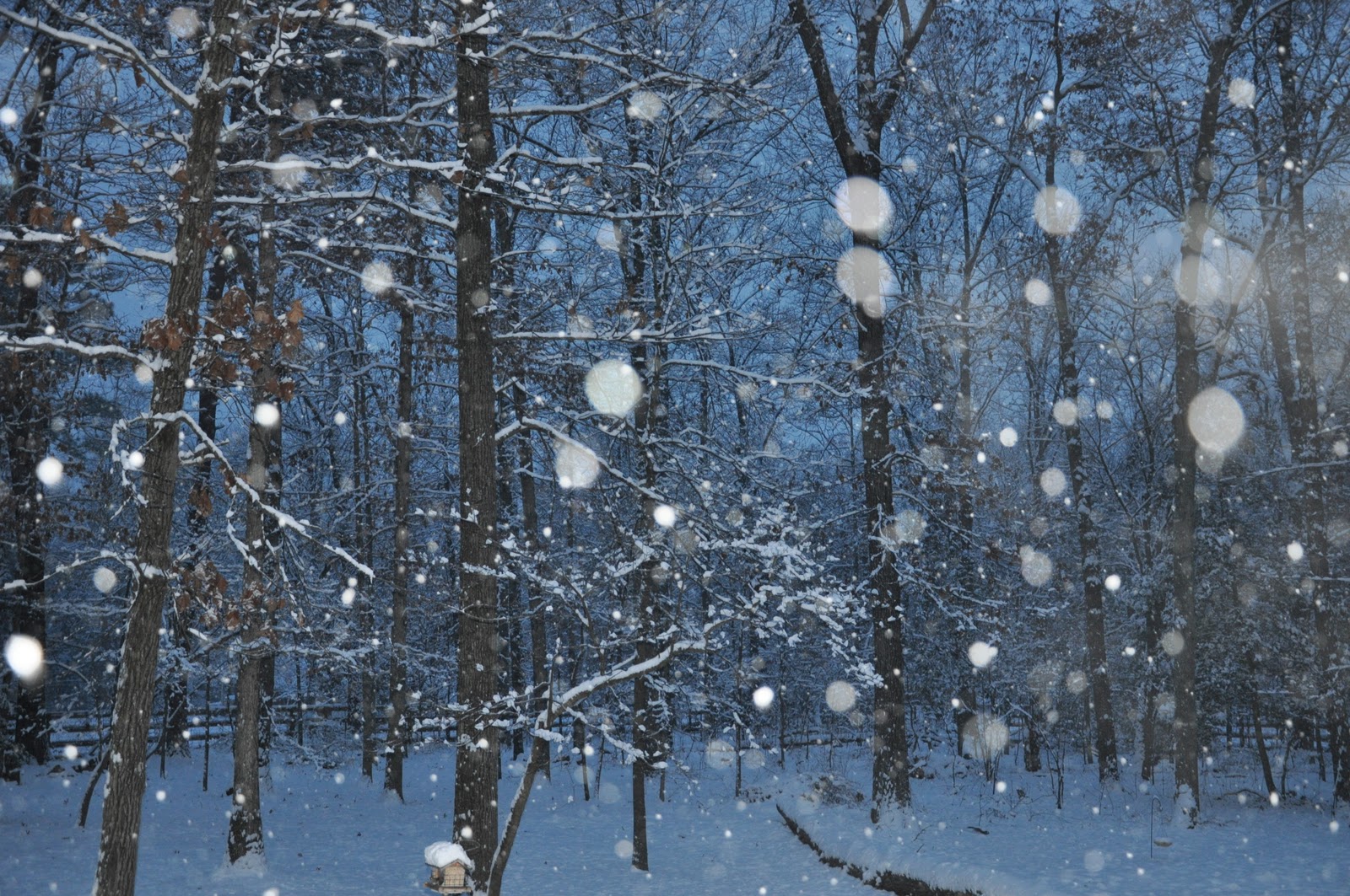 Arise 2 Write: A Beatiful Christmas Snow!