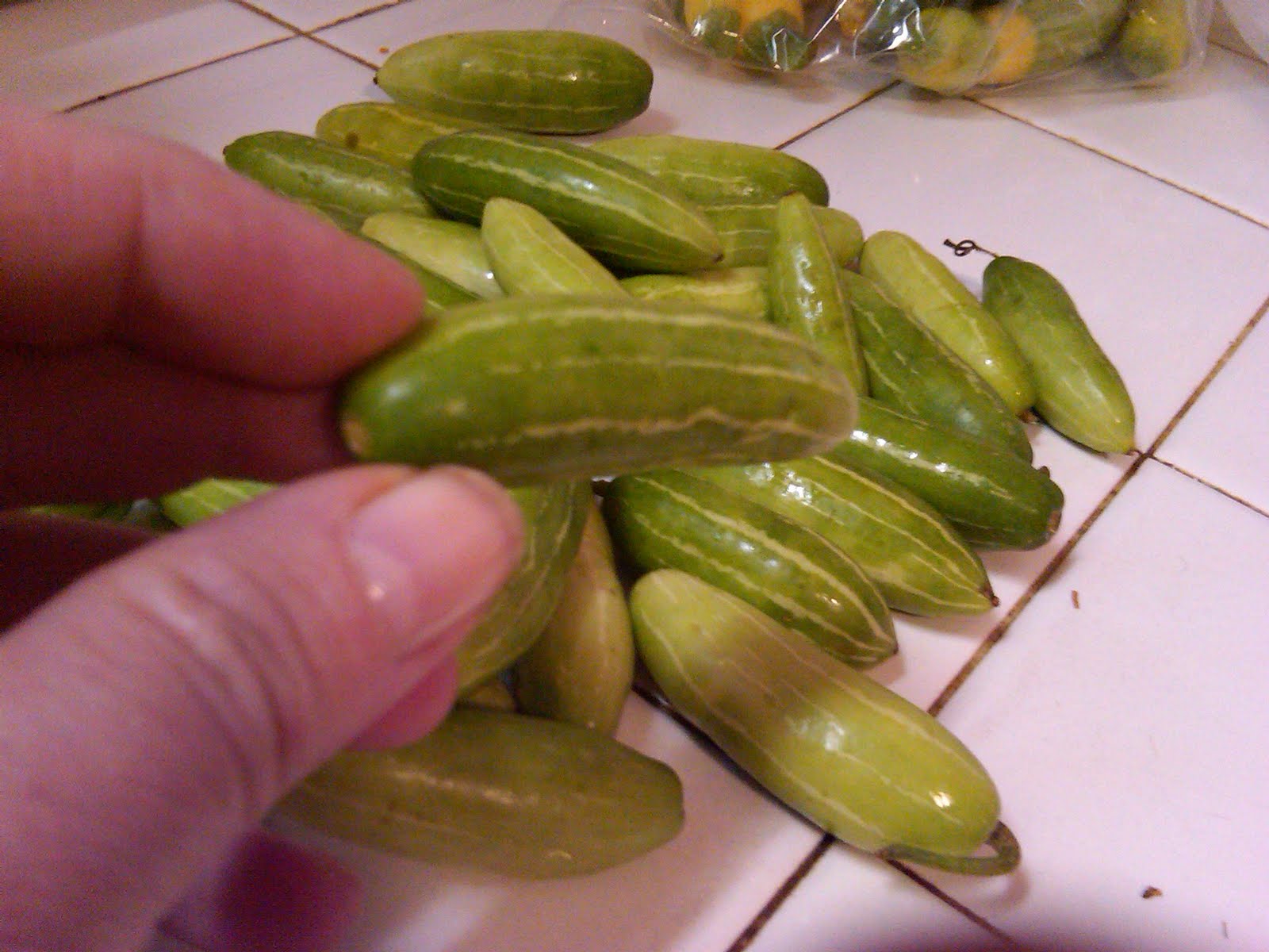 I'll Bite: Know your vegetables: Tindora