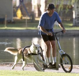 The Rottie Dogs: The Dog Powered Bicycle
