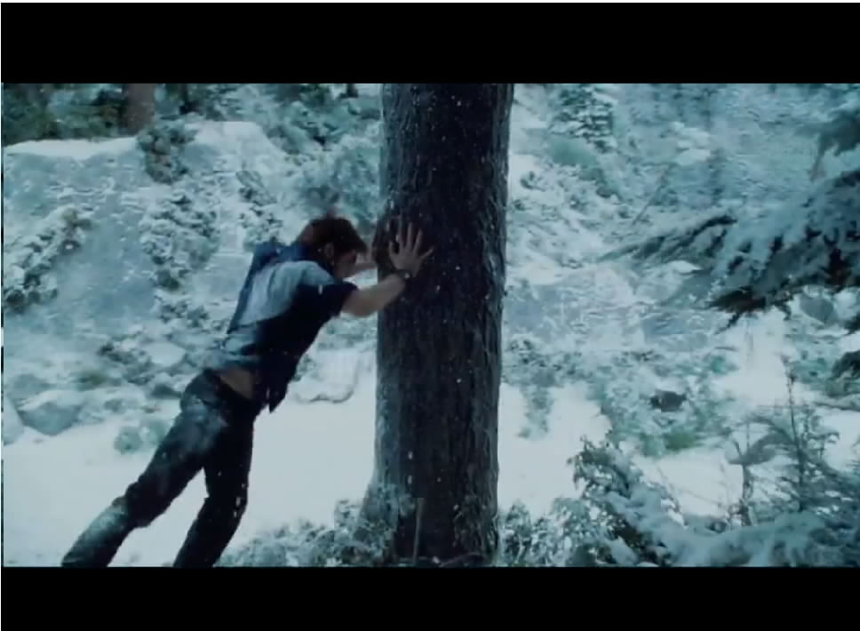 Twilight Junkies Anonymous: New Eclipse TV Spot and Screen Caps