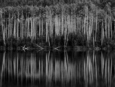 Large Format Photography: John Sexton