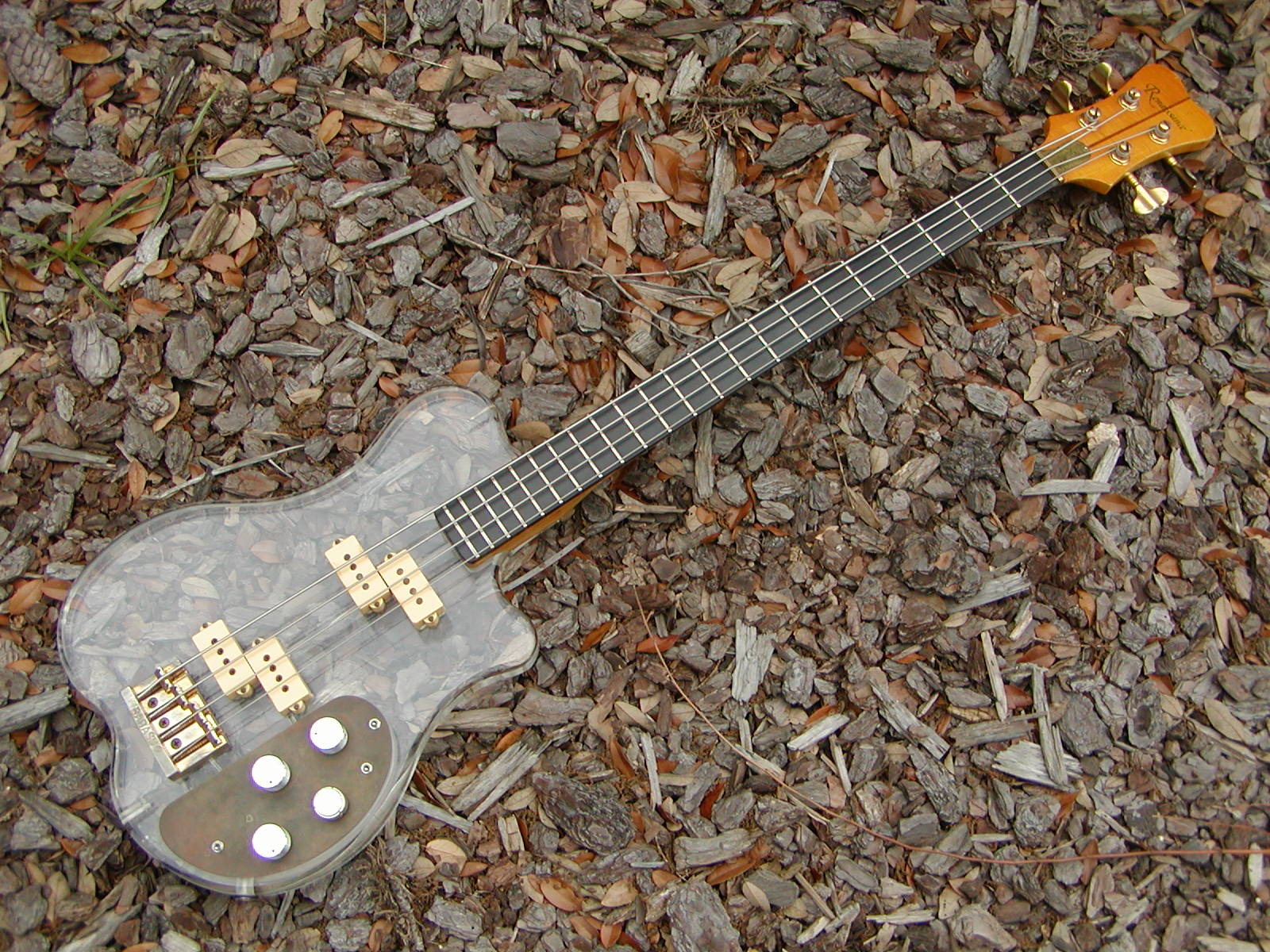 AUDIO SERVICES: Cool Guitars: The Renaissance Acrylic See Through Bass ...