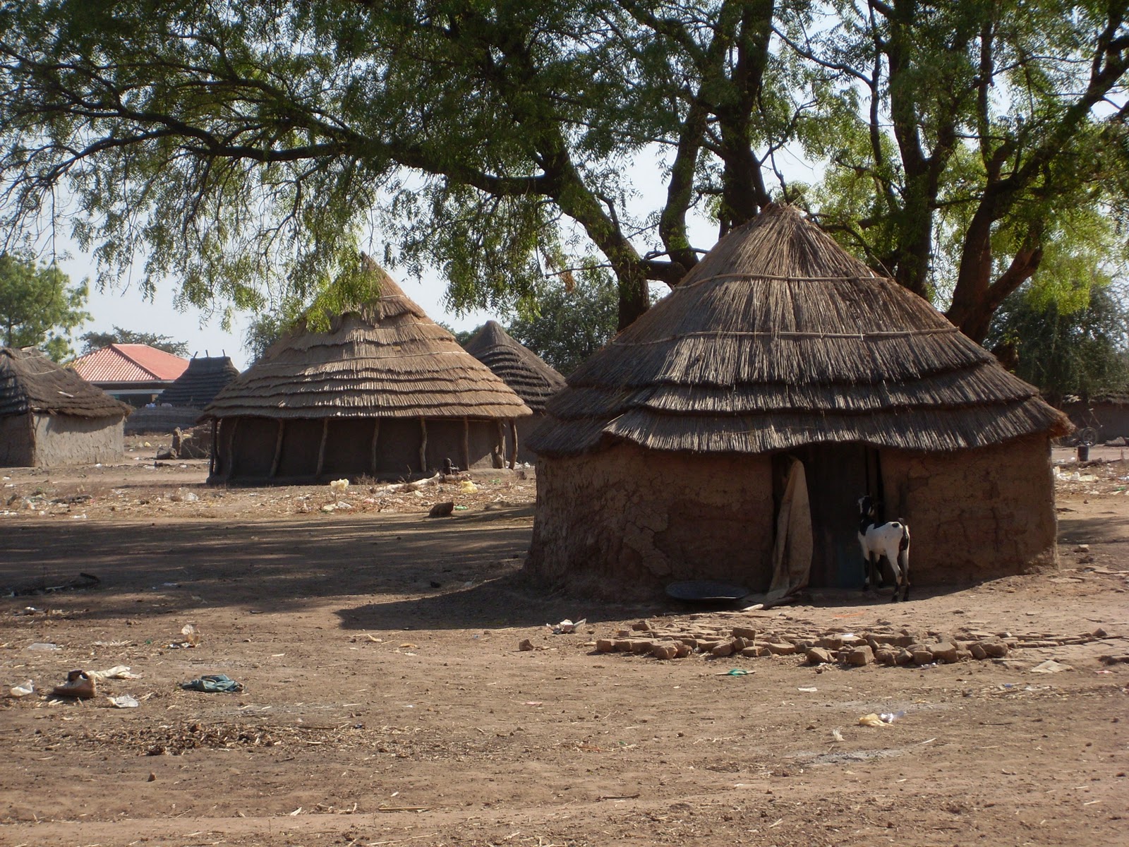 A Word from WAU: A trip to Kuajok and a church under a tree