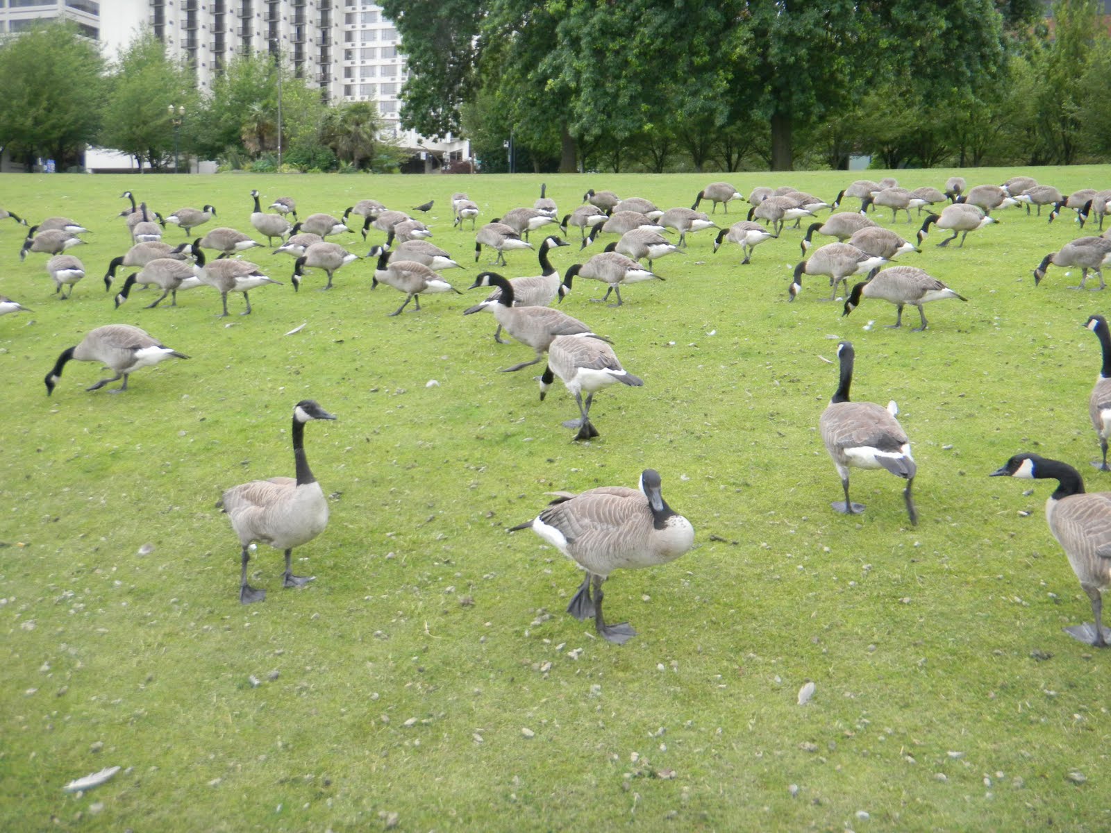 Alley Art Studio: Out and About on the Portland Waterfront