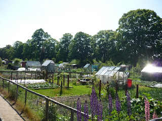 Cupar Allotment Group: Inspiration: Perth Moncrieffe Island