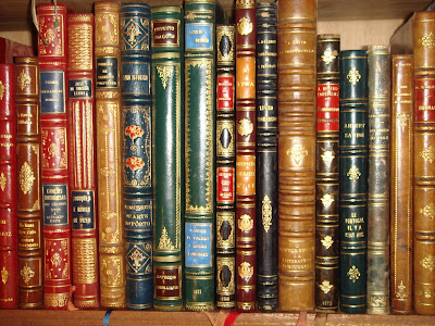 Lucifer in het hooi: Landschapjes met boeken (2)