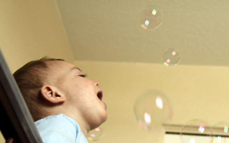 The Kellys: how to catch a bubble, by Miles