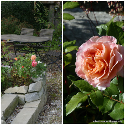 Englische Fräulein 's