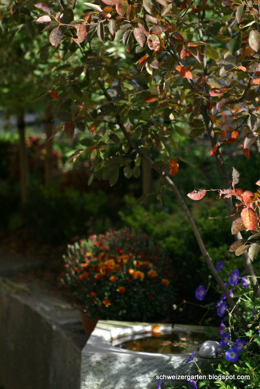 Landleben - Landliebe