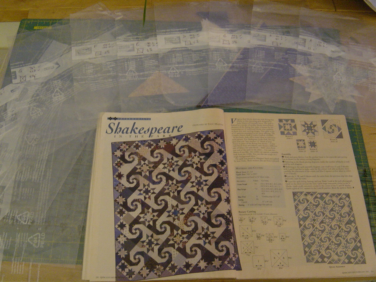 Scrappy Happy Starfishy: Shakespeare In The Park Quilt X4