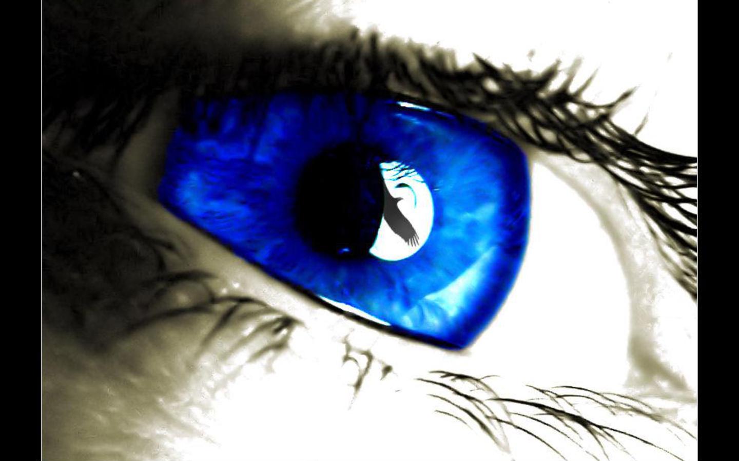 Wallpaper Creative: Blue Eyes Photos HQ 1440x900