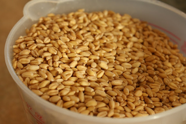 My Barefoot Farm: Whole Wheat Pancake Mix