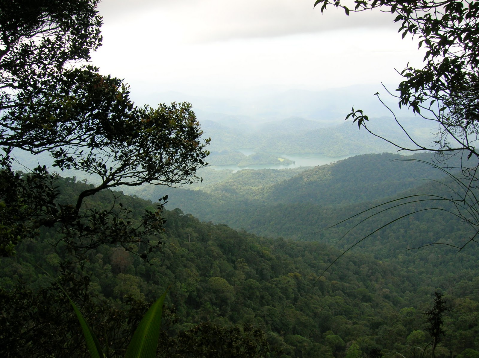 Mambang Diawan: Climbing of Gunung Nuang