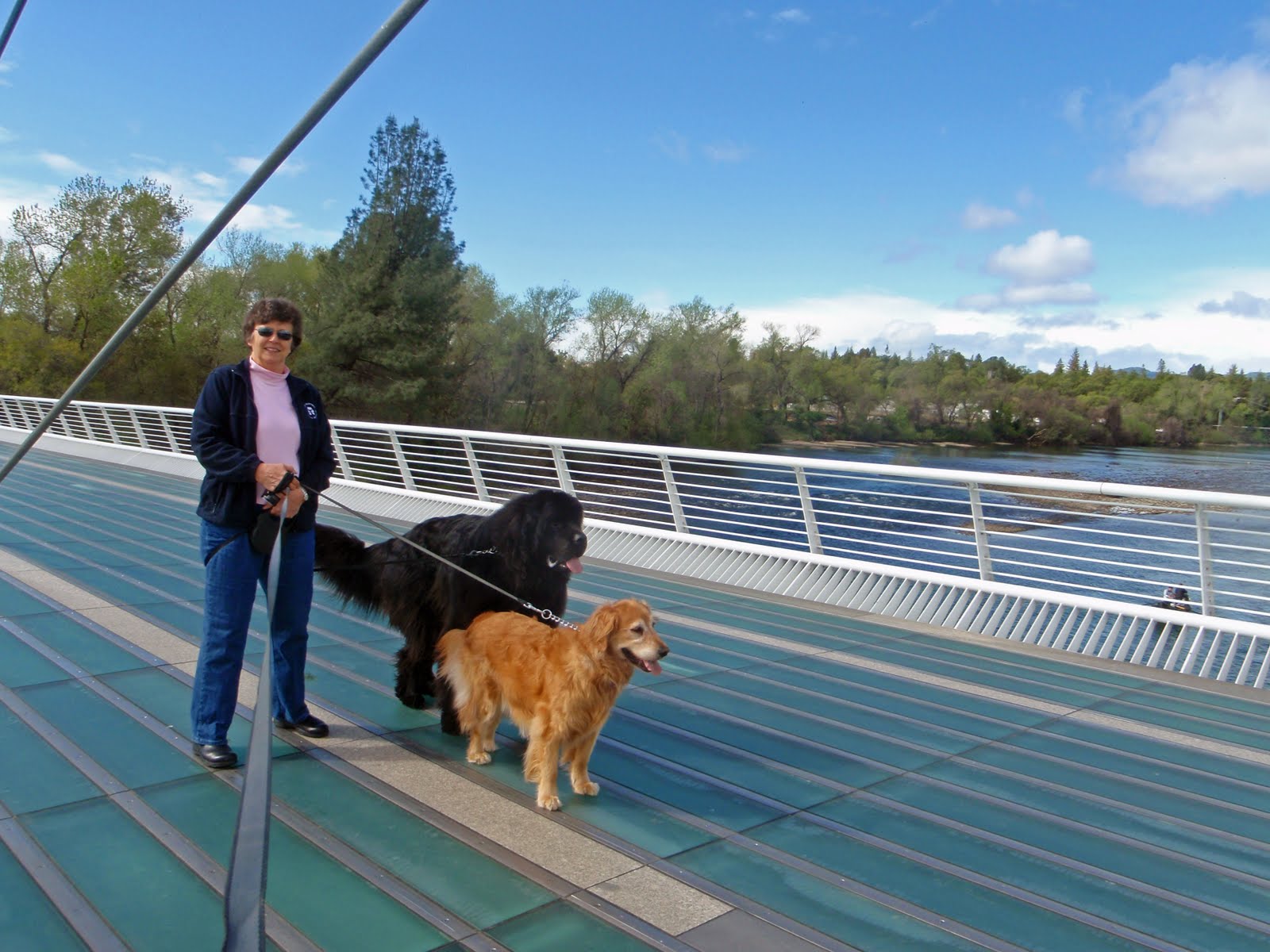 Moose Droppings: Redding and the drive through the mountains