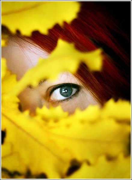 MODIFICĂRI POZE: poze colorate