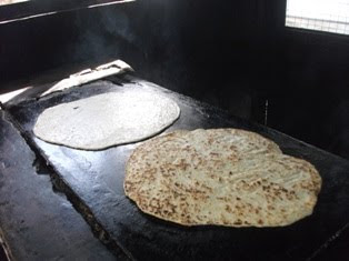 Home of the Original Apigigi