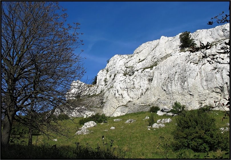 ROCOPLAYA ... o cestování: Pálava III. - Pavlovské vrchy