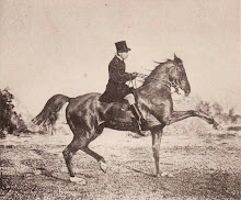 Equitação Clássica - Modernos Clássicos: Ares de Escola