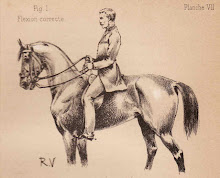 Equitação Clássica - Modernos Clássicos: Curiosidades