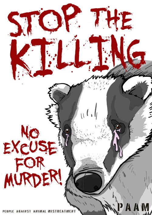 Rianne Rowlands Illustration: Animal Rights