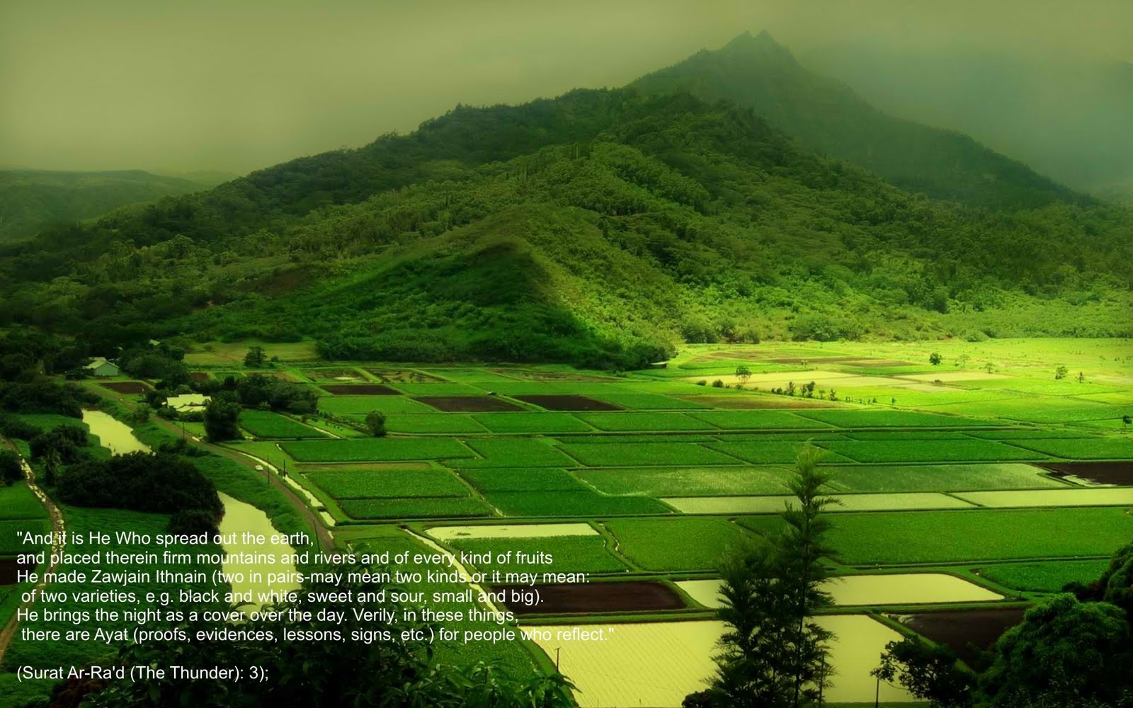 Islamic Green Wallpapers