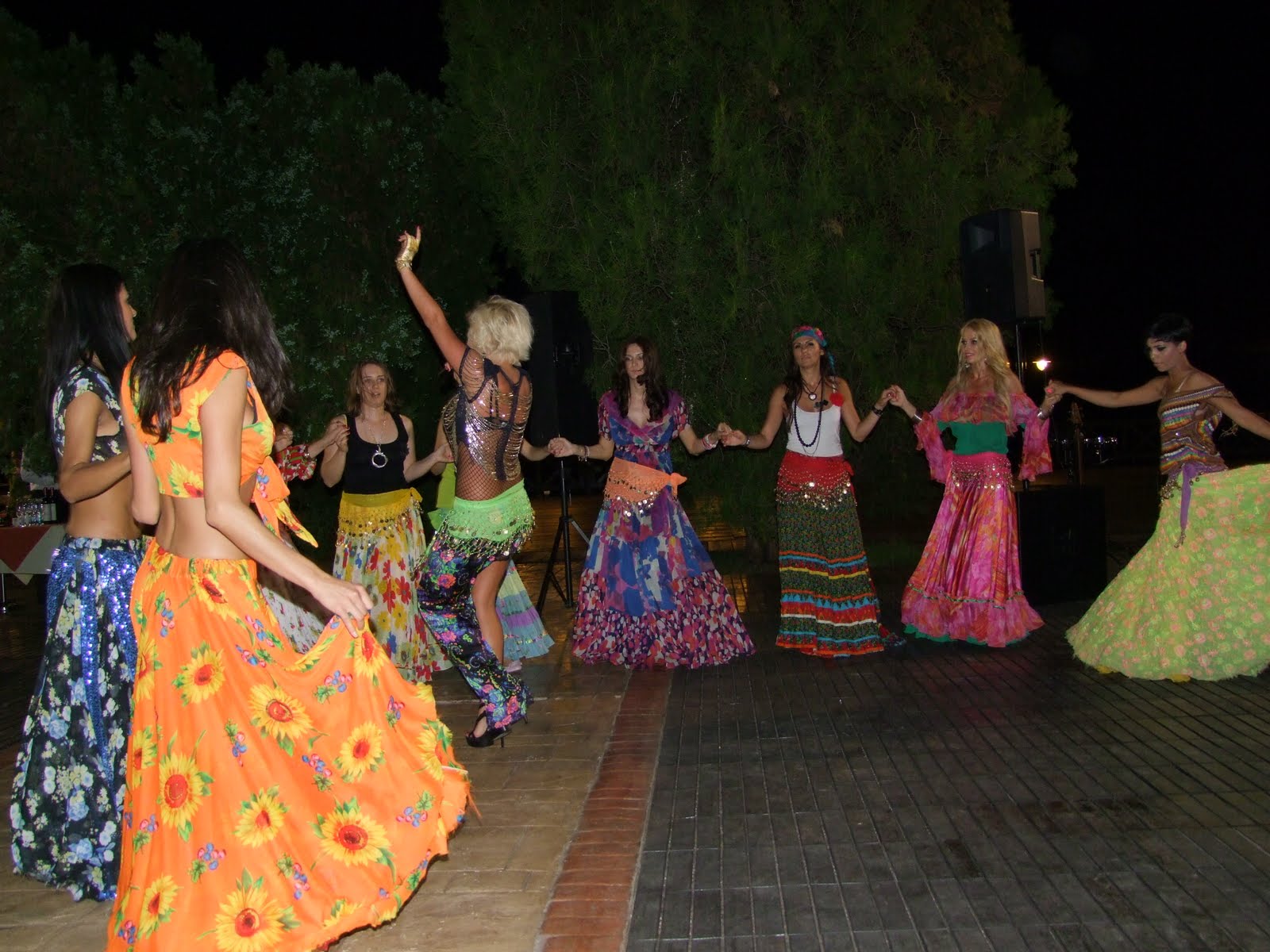 Serghei Niculescu-Mizil: Vineri 11.06.10 - distractie la o petrecere cu ...