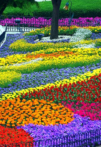 Flower Plot Garden