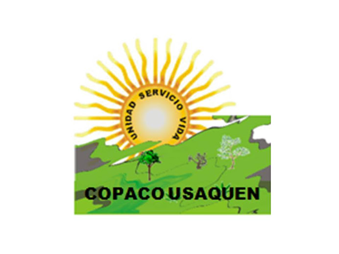 copaco_usaquen: ESTATUTOS COPACO USAQUEN