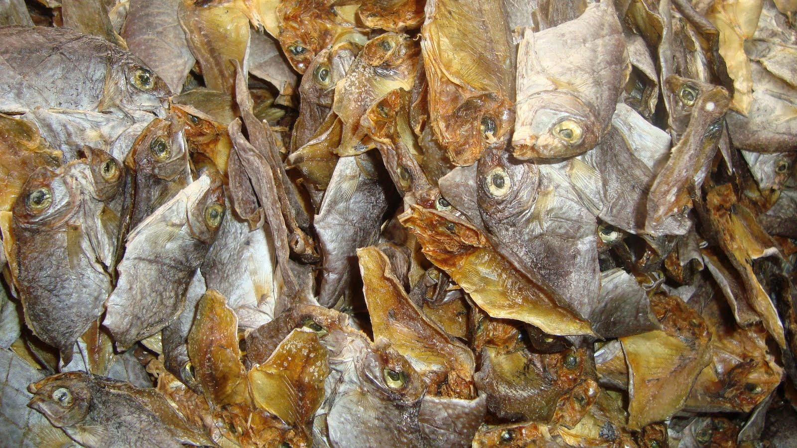 Bacolod Tours: What's to see at Bacolod Central Market