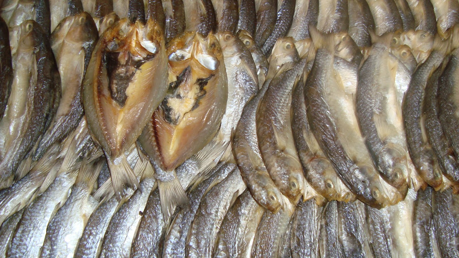 Bacolod Tours: What's to see at Bacolod Central Market