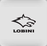 Lobini Logo | Best Cars Upg
