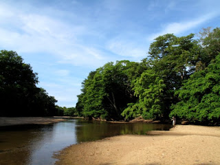 Off the beaten Track : The Small Stuff (Yala 05/06/2010)