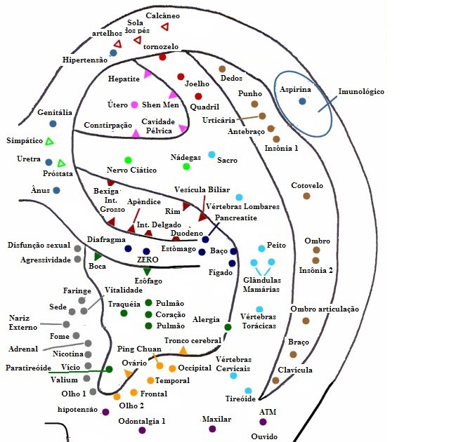 Acupuntura e Auriculoterapia: MAPA NOGIER