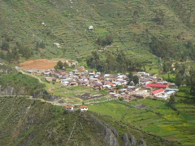 YAUYOS AL DIA : : CONOZCA VITIS