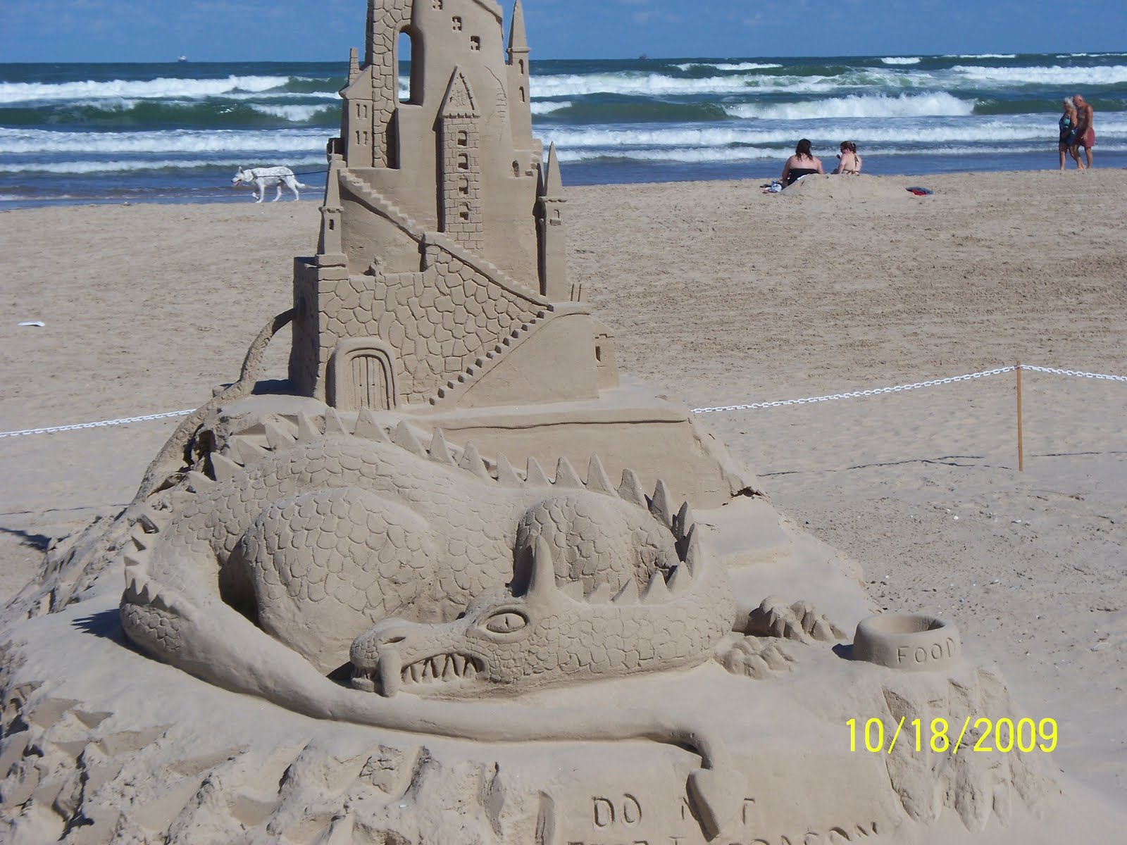 Looking For A Bird and a Birdie: Sand Castles and Red Tide