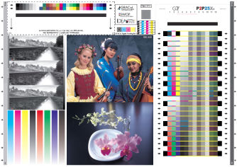 G7at: What are G7 and GRACol?