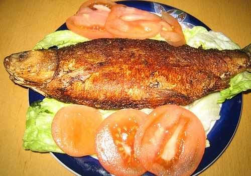 My Homeworks: Pambansang Isda: Bangus (larawan)