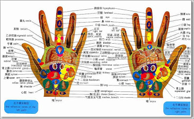 Mit TCM kannst Du gesünder und glücklicher sein 求医不如求己 / 身体使用手册: Übersicht über die ...