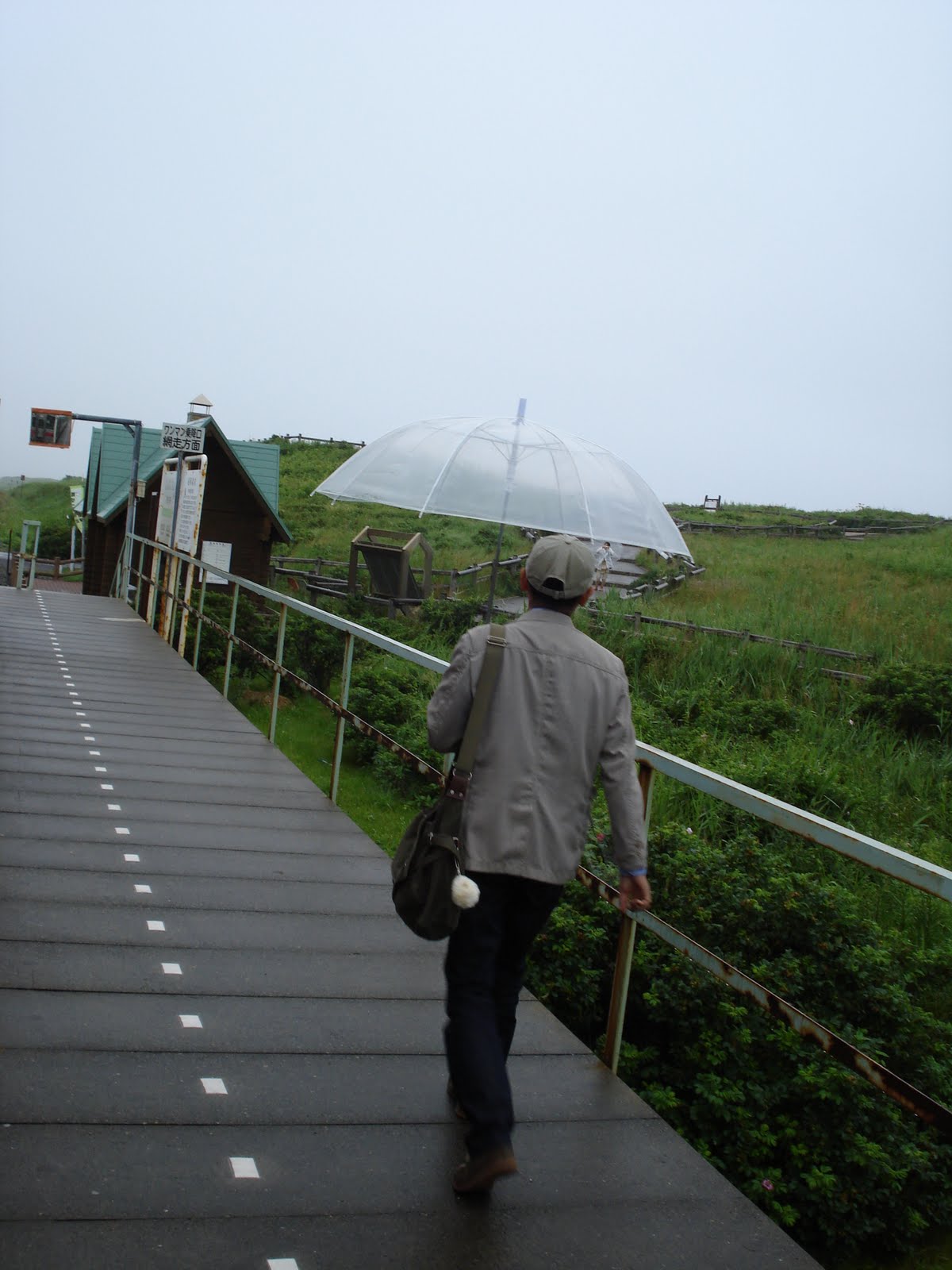 Hope, fortune and dragonflies: Cross country in Japan