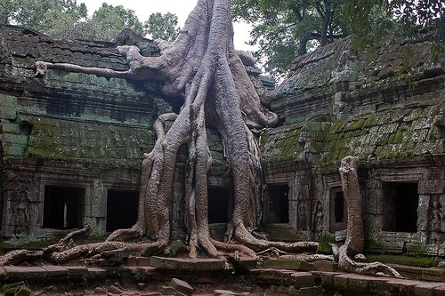 atasnamaaku: Pokok-pokok Pelik