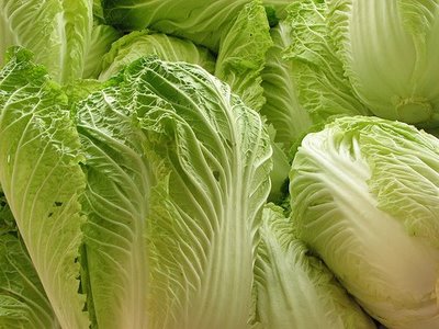 Só Verduras: Acelga e suas Propriedades