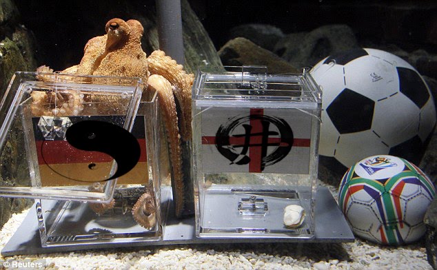 Yi Fengshui: SiFu Paul The Oracle Octopus