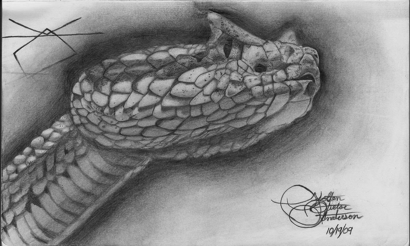 Anchor10: Snake (Sidewinder)