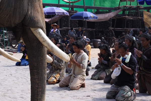 Wise Kwai's Thai Film Journal: News and Views on Thai Cinema: Tony Jaa ...